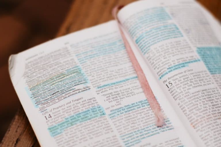 16 Best Bible Highlighters Reviewed in 2025 (MUST READ!) – VeryCreate.com